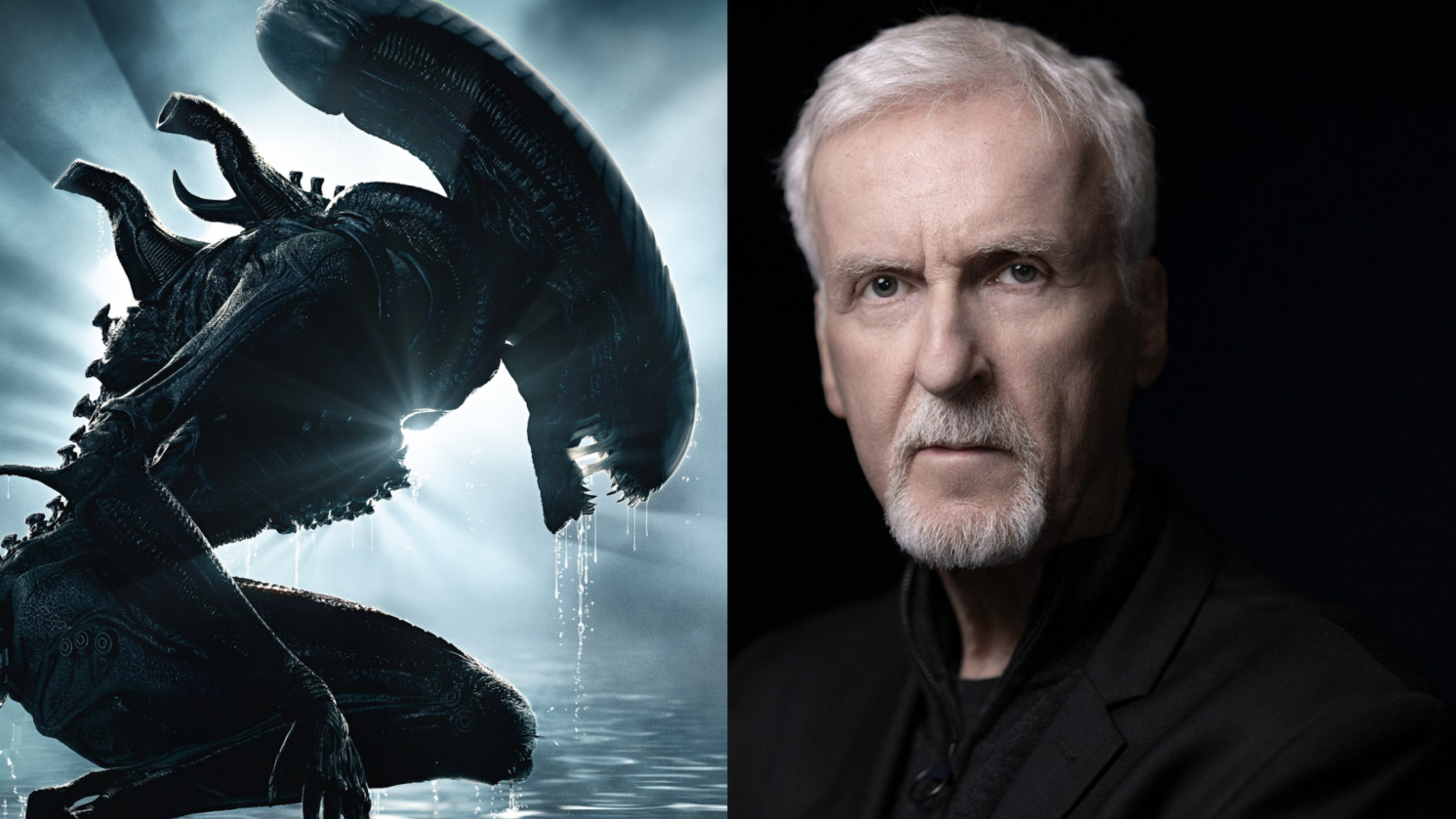 James Cameron: You couldn't pay me to go back to the Alien franchise ...