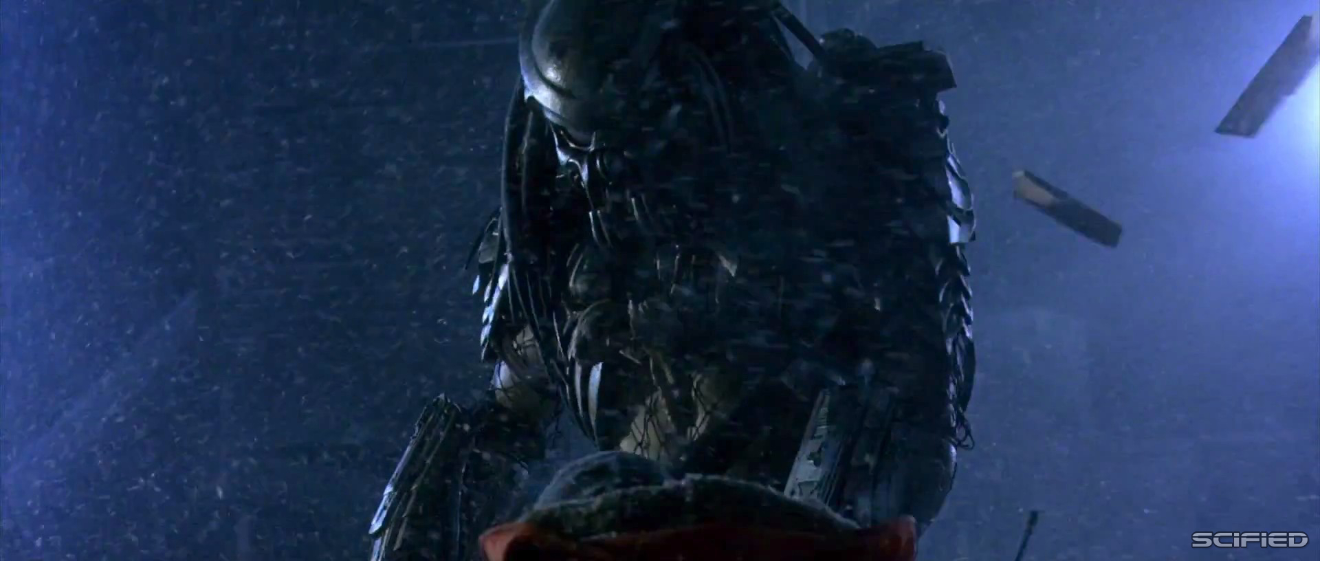 AVP Meet The Predators (Aliens vs. Predator Images Image Gallery)